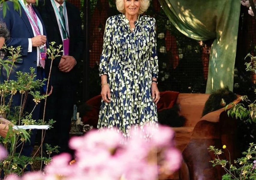 The birthday Queen - by Kerry Parnell and Maria Coole