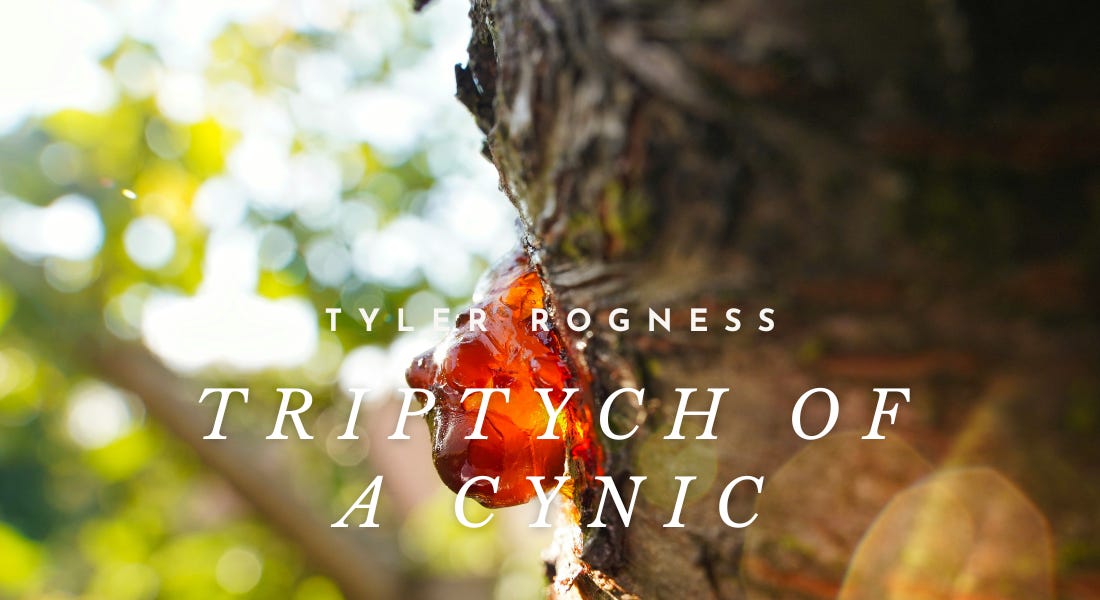 Triptych of a Cynic—Tyler Rogness - by The Rabbit Room