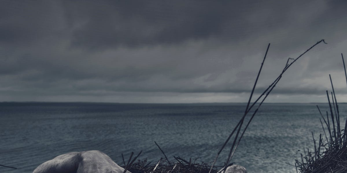 What is the diagnosis code for extractive capitalism?