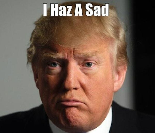 The Weakest, Saddest, Most Hilarious Donald Trump Is EMO DONALD TRUMP