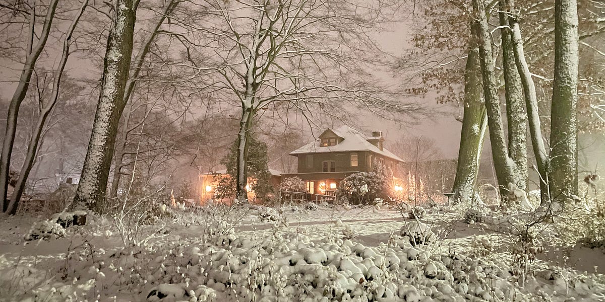 Merry Christmas! - Julie Witmer Gardens Newsletter