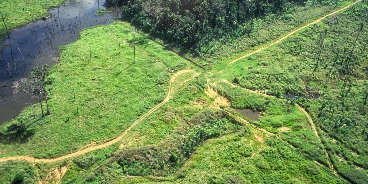 Additionality: What It Is & How We Approach It