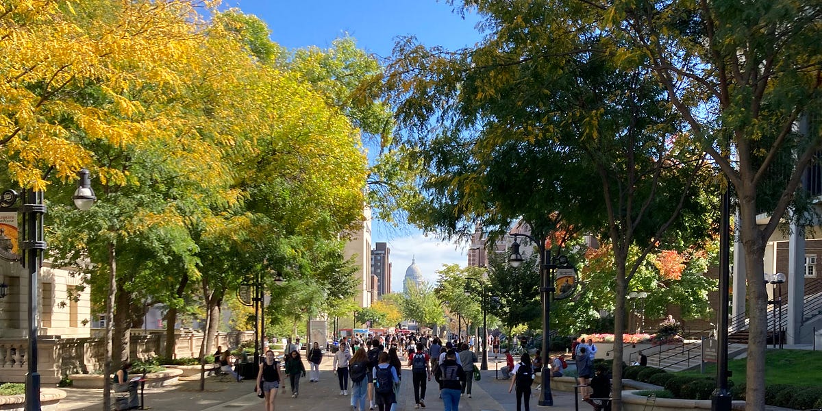 The Real Work - by Evan Tinklenberg - Numen Lumen