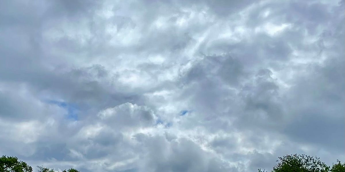 Laguna View: Spring Idyll - by Dale Dougherty