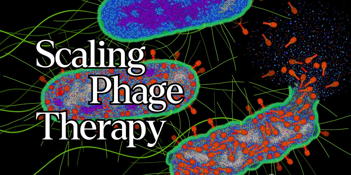 Scaling Phage Therapy - Asimov Press