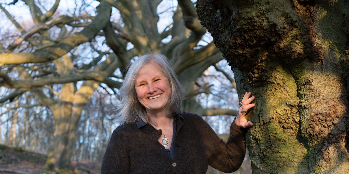 Rewilding the Microbiome with Mo Wilde