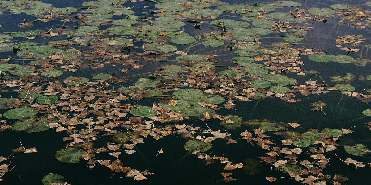 what else do you want me to say? - by Franco Amati