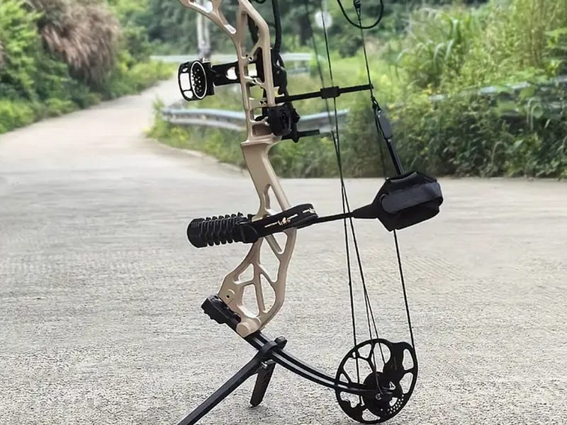 Top 10 Compound Bows on Temu with Big-Brand Quality at Half the Price
