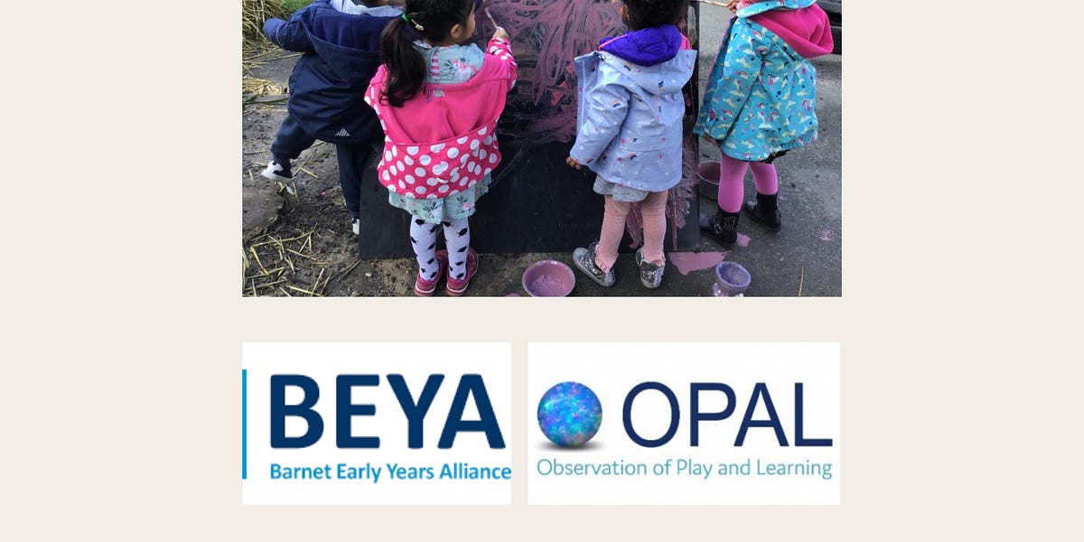 Free Resource: OP&L PLAY Observation Format Tool