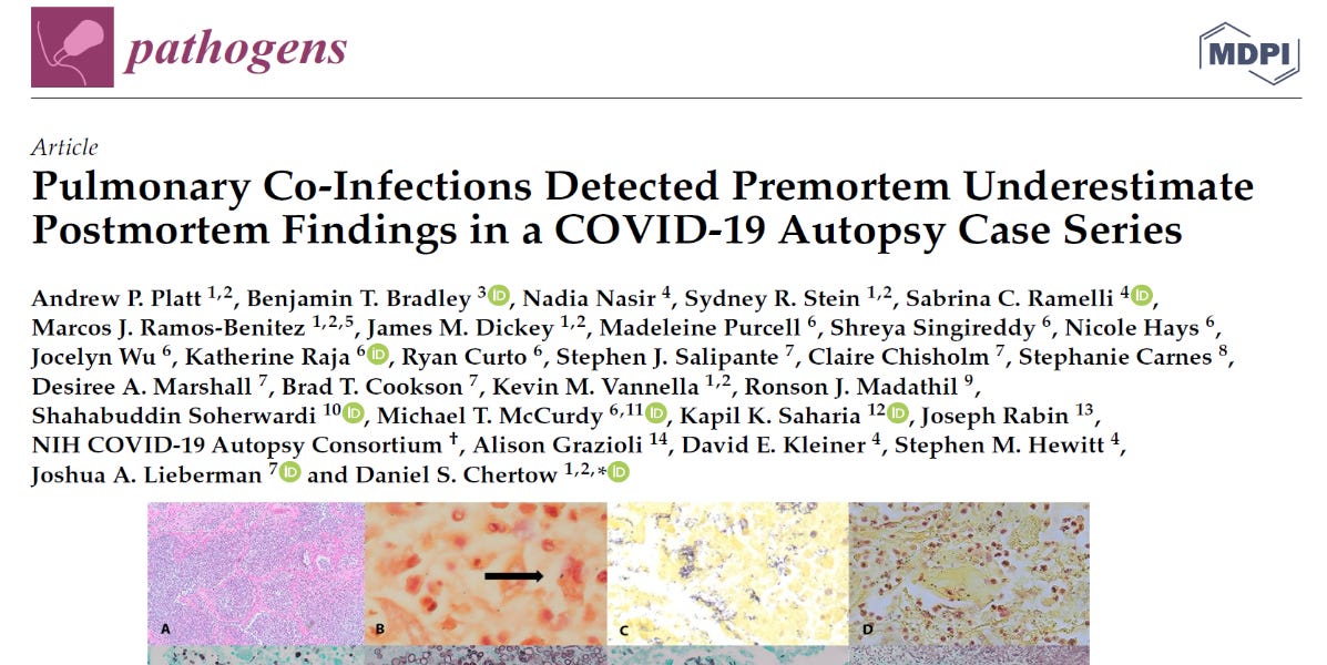 Secondary Bacterial Pneumonia Common in Fatal SARS-CoV-2 Infections