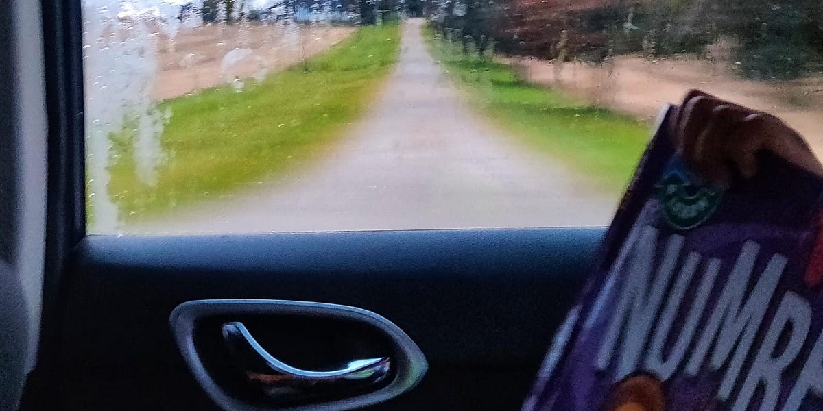 nothing much - by Mitali Raval - The Flaky Dispatch