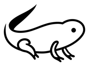 Welcome to #TheTadpoleExperiment!