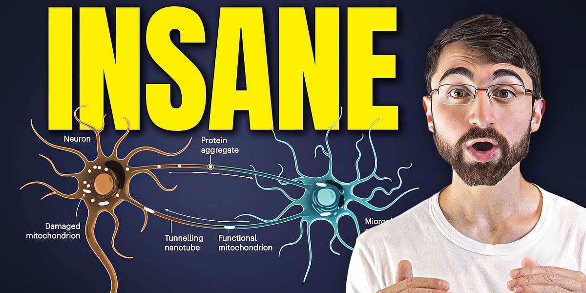 Microscopic Brain Tunnels: A New Key to Neuroprotection