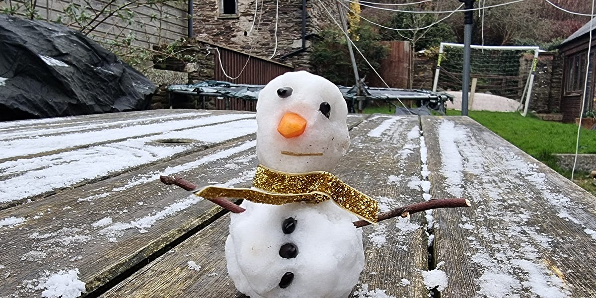 A Snowman in the Freezer - by George Mahood