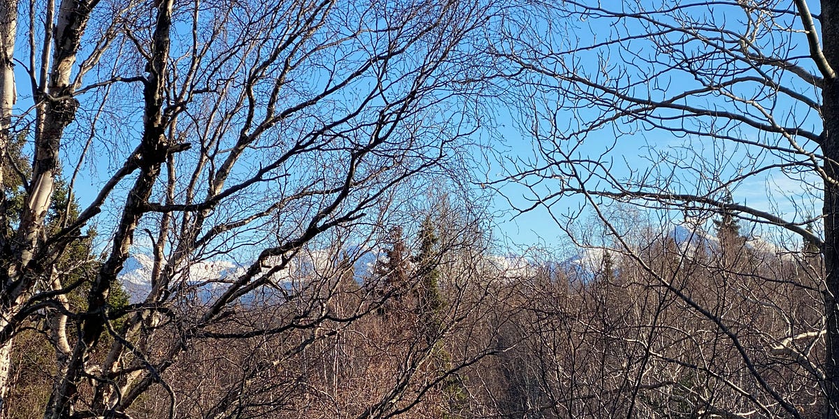 Commonplacing - by Freya Rohn - The Ariadne Archive