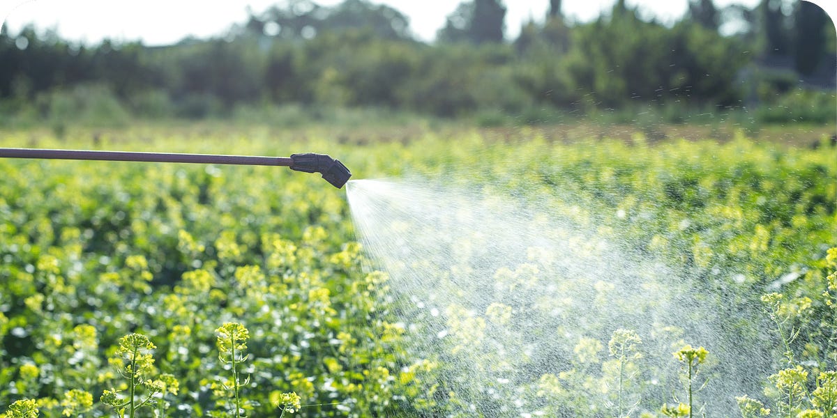 "See and Spray" System: The next frontier in Agriculture?