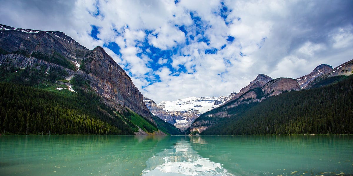 A Complete Guide to Tenets - by Dave Anderson - Scarlet Ink