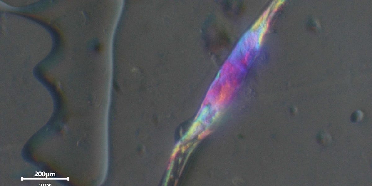 Polarized filters for Vacksine/Morgellons Microscopy