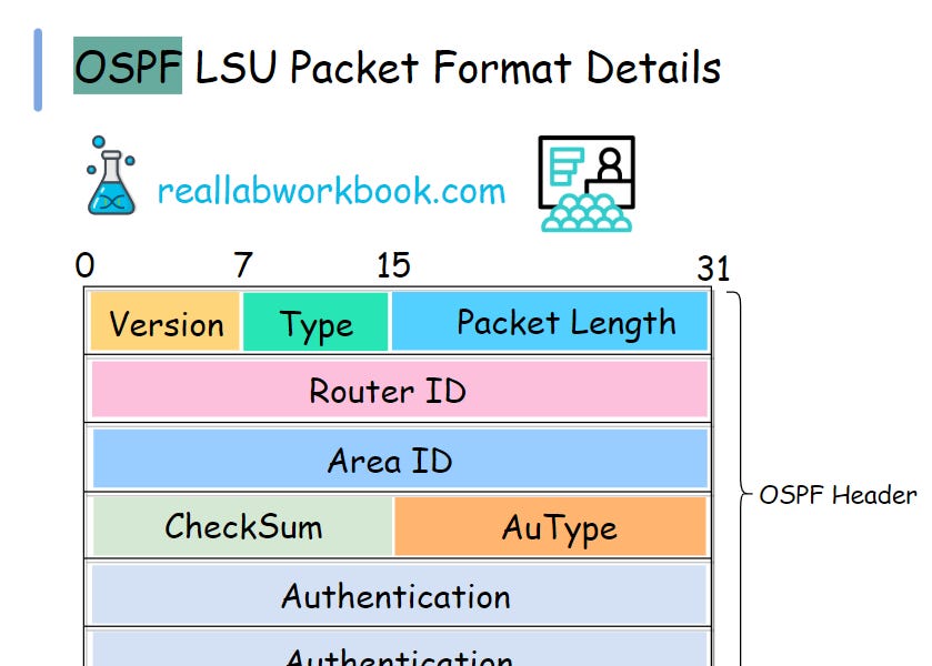 OSPF Link State Update Packet - by Rose White OSPF Link State Update Packet - by Rose White