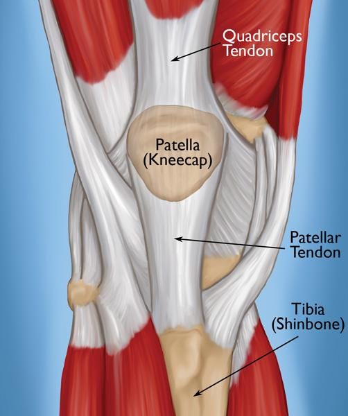 Anterior Cruciate Ligament (ACL) Reconstruction - Patellar Tendon ...