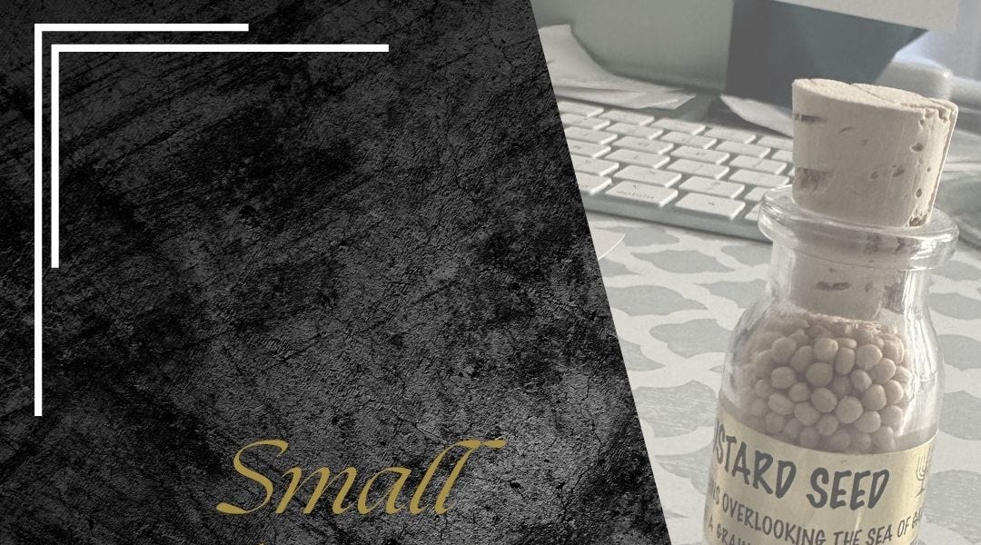 Small Beginnings - by Emily Phoenix - Emily’s Substack