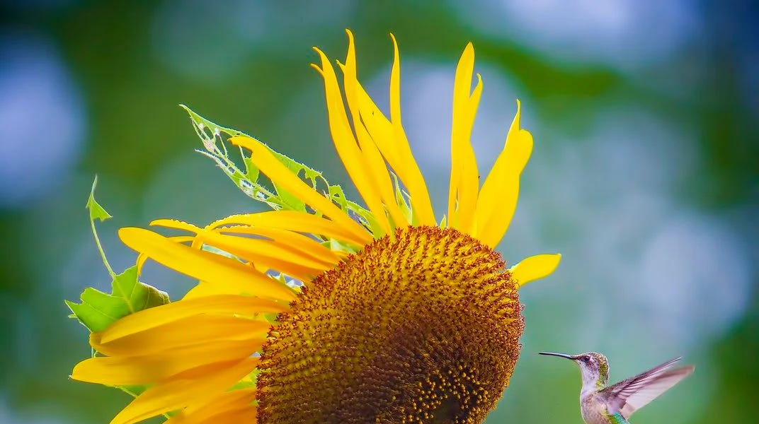 My Father - by Kris Graham - Kris’s Substack