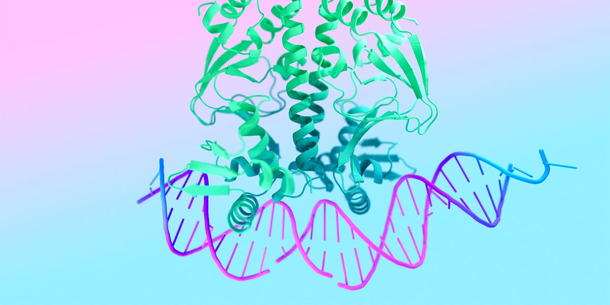 AlphaFold3: A foundation model for biology (?)