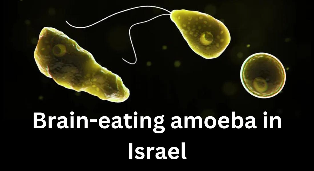 Brain-eating amoeba case reported in Israel