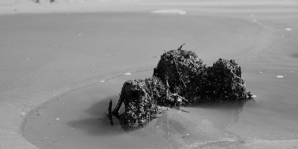 Blood-lines and Milk-lines - by Chelsea Steinauer-Scudder