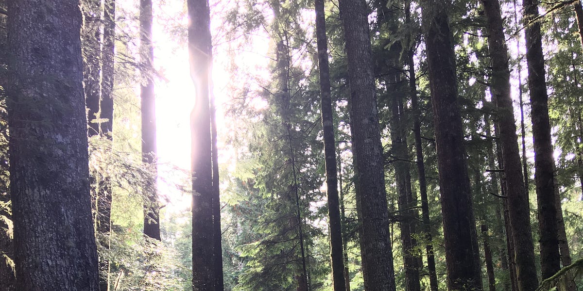 Turn On Your Brights - by Russell C. Smith - The New Now