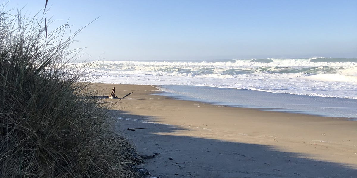 Poetic Revelations: When Life Floods In - by Monisha Mittal