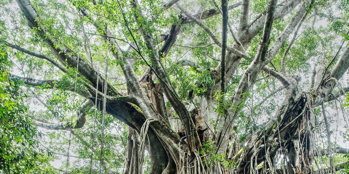 Transform Your Legacy Monolith System Into Microservices