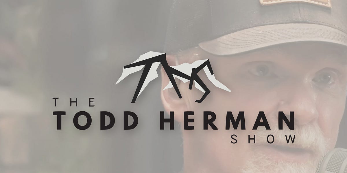 THE TODD HERMAN SHOW - LIVE VIDEO *trial*