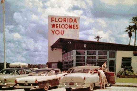 Design Dive: The Aesthetic of Florida - by Jenna O'Brien