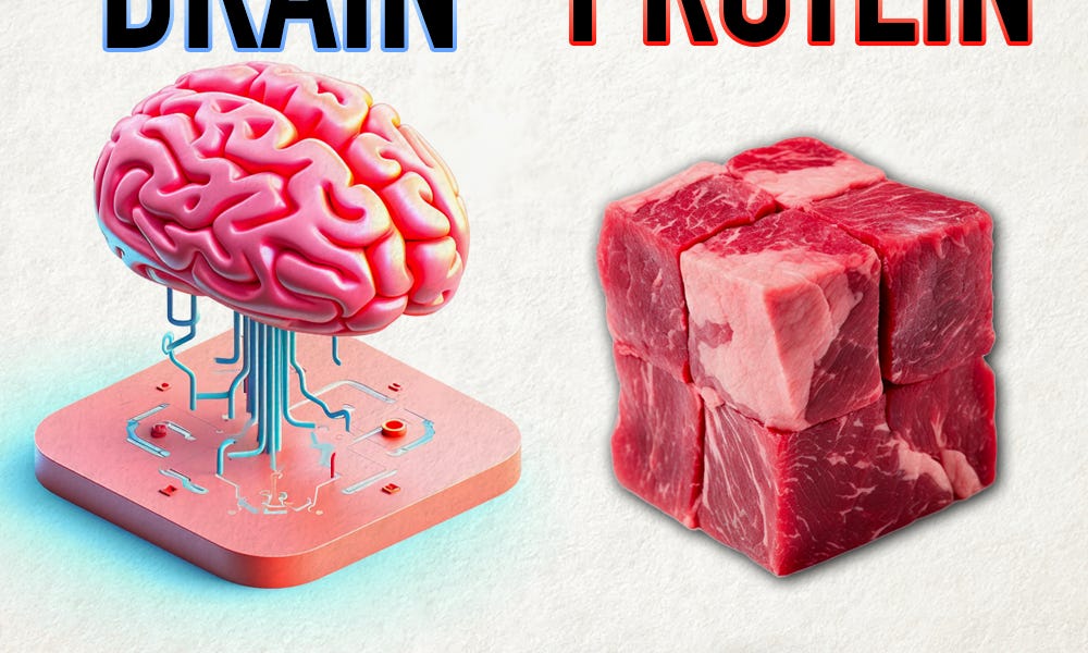 Your Brain craves Protein - by Joseph Everett (WIL)