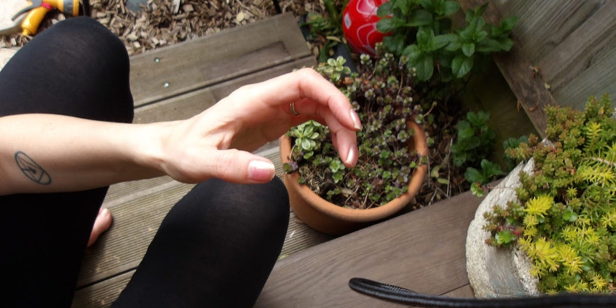 Stronger Together - by Bridget Luff - The Wildflower Way