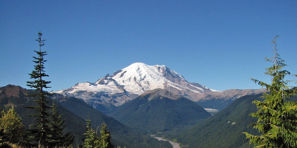 Do NOT drink and use substack - Suhweet Driving School