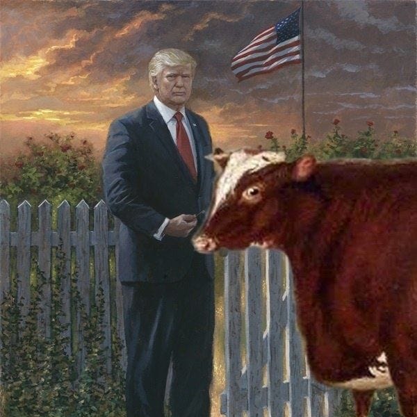 2019: The Year Devin Nunes Sued A Cow, And A Forty-Millionaire Sued US!