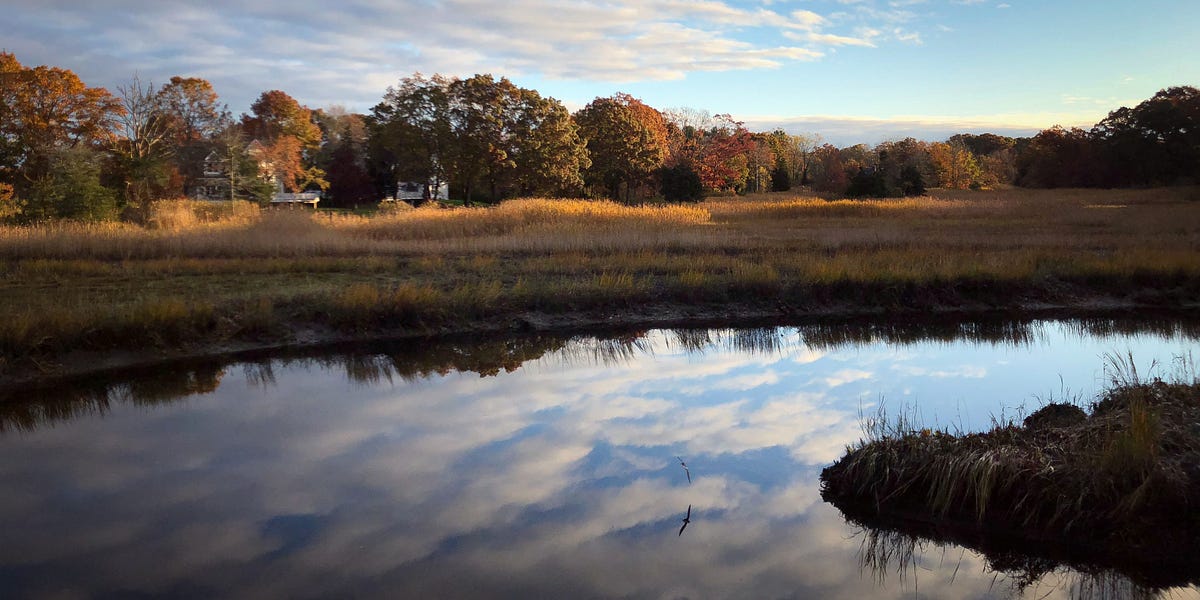 The Salty, Old River - by Troy Putney