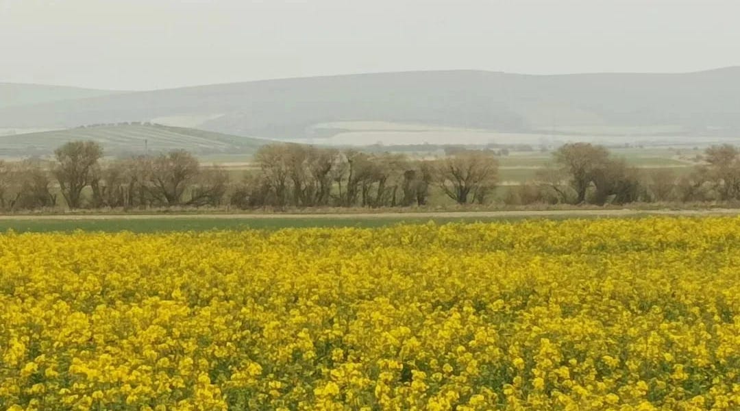 Burnout and Beyond - by Jo Mortimer - Jo’s Substack