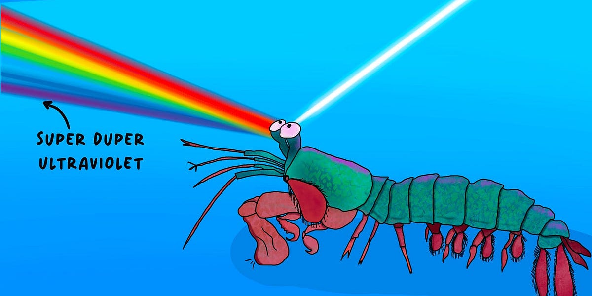 Radiolab's "Colors" ten years later - by Erik Jones