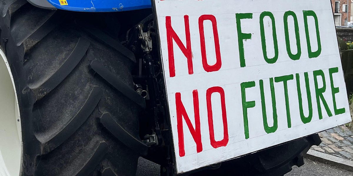 Is it ok to love your children? - by Louise Perry