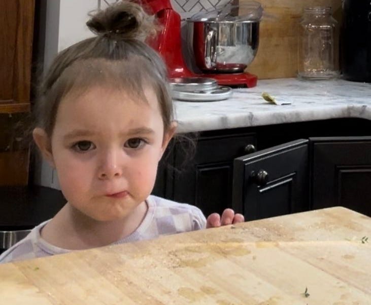 A Chicken of Merit - by Emily Zanotti