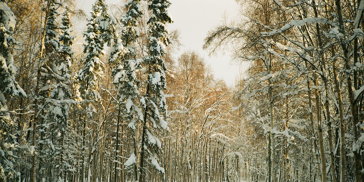 Fighting the colonizer mentality - by Julia Bedell