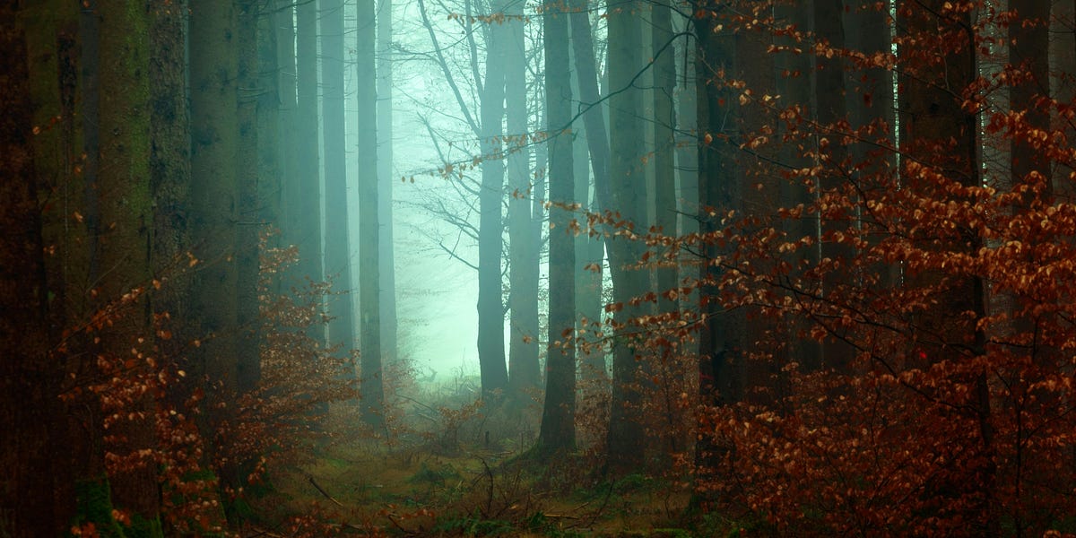 The Celtic Otherworld, the Implicate Order and the Imaginal Realm