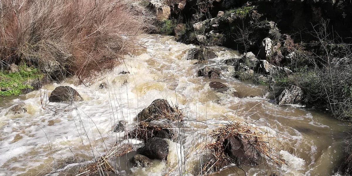 How Blood Libels are Built - by Meir Paltiel