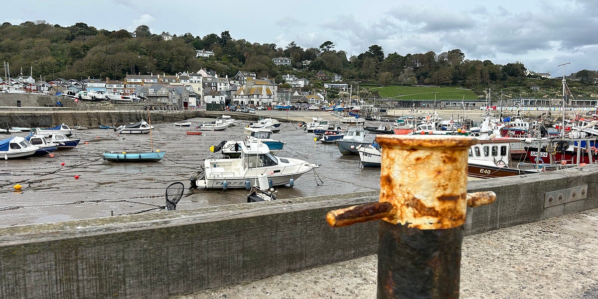 Lyme Regis - The Cobb and Ammonites - by Roland Millward
