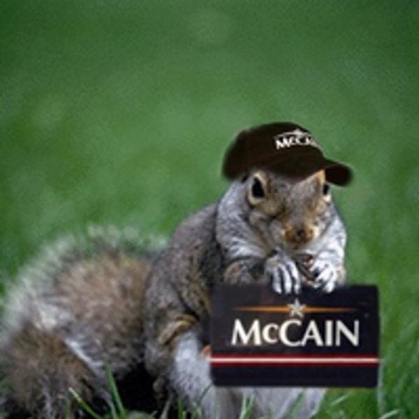 Barry Killed All The ACORNS! - by Sara K. Smith - Wonkette