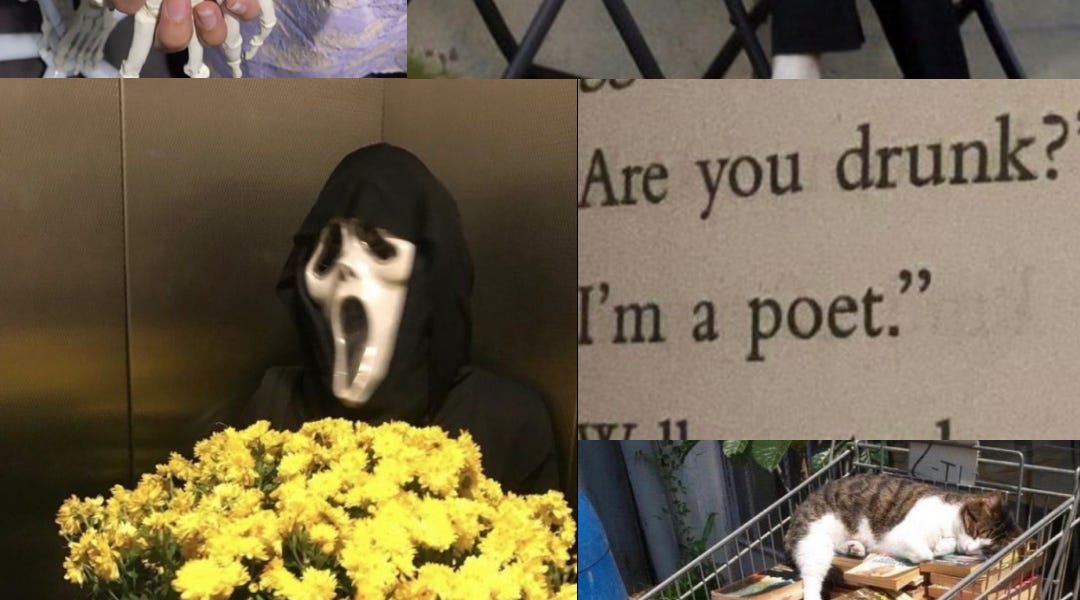 Welcome to Jamie Core - by Jamie McCormick - My Side Piece