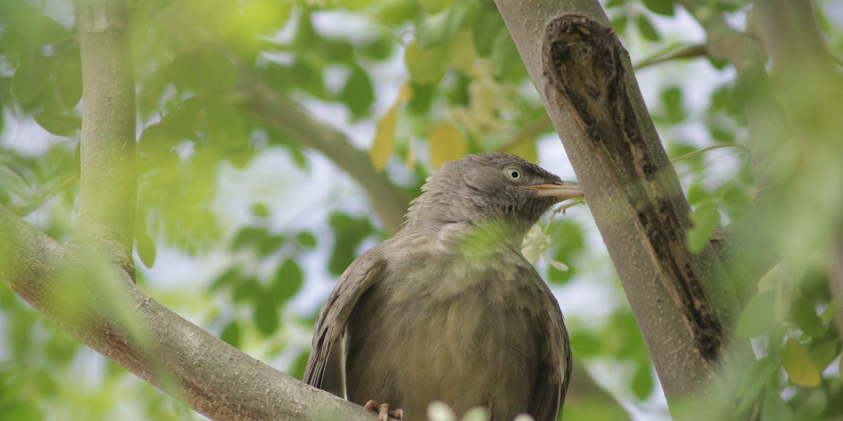 why take photos - by Amina Zoomkawala - zoomkawali